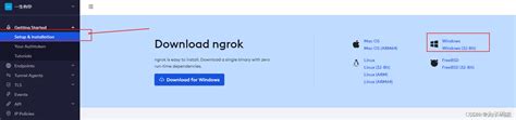 Ngrok免费实现内网穿透ngrok官网 Csdn博客