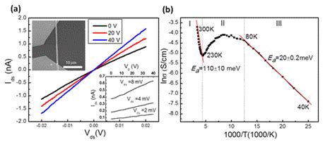 Quasi 1d Nanostructures Nami Nanoelectronics And Advanced Materials
