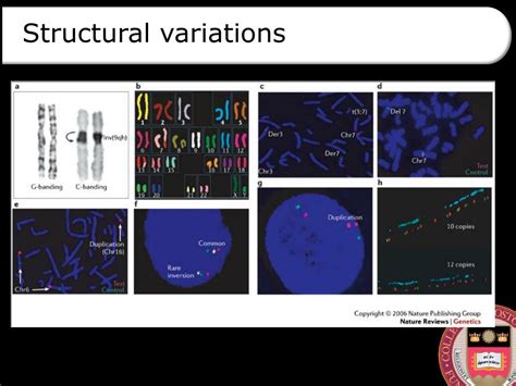 Ppt Informatics Tools For Next Generation Sequence Analysis Powerpoint Presentation Id 2559425