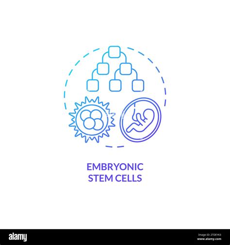 Thin Line Simple Gradient Embryonic Stem Cells Icon Concept Stock