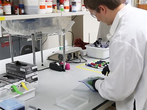 Video Two Methods For Decellularization Of Plant Tissues For Tissue Engineering Applications