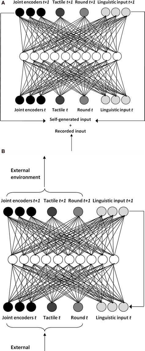 The Neural Network That Acts As A Control System For The Robot A