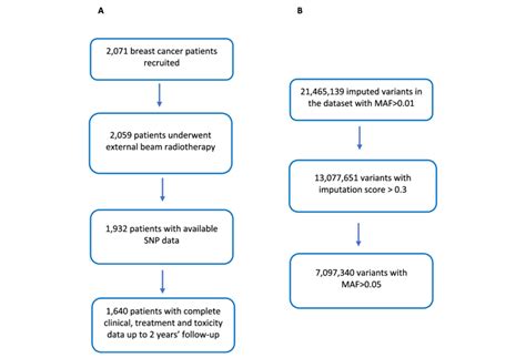 Flow Diagram Showing The Selection Of Patients A And Genetic Snp Data