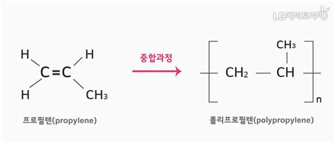 뭐니뭐니해도 폴리머 머니polymer Money Lg케미토피아