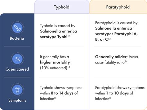 Typhoid Fever Causes Spread And Risk Factors