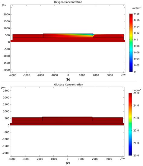Micromachines Free Full Text An Interphase Microfluidic Culture