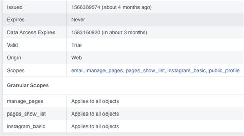 Instagram Graph API Access Token Stack Overflow