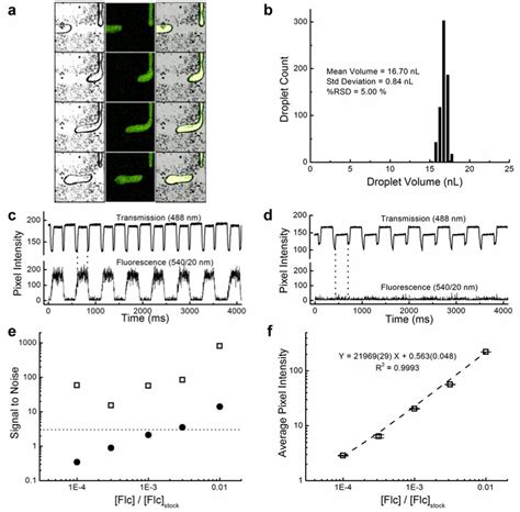 Aqueous In Oil Droplet Formation At A Microfluidic T Junction A