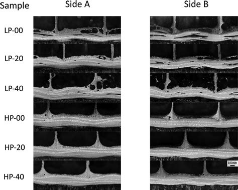 Representative Micrographs Of Polished Cross Sections For Each Case