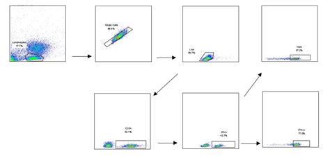 Fixation Permeabilization Kitabsin优宁维univ商城