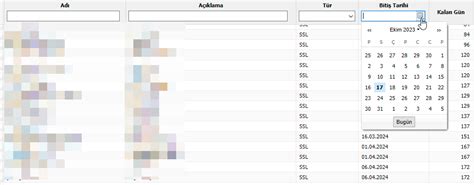 How Do You Use The Date Filter In Unidbgrid General UniGUI Discussion Forums