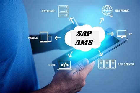 How Sap Ams Optimizes Your Investment In Sap Solutions Info Pool