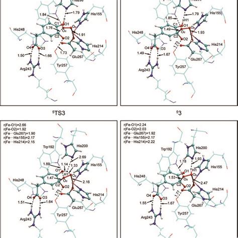 Calculated Key Structural Parameters For Intermediates And Transition