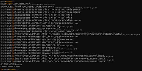 Cara Menggunakan Perintah Tcpdump Di Linux Belajar Linux Id Situs Belajar Linux Terlengkap Dan