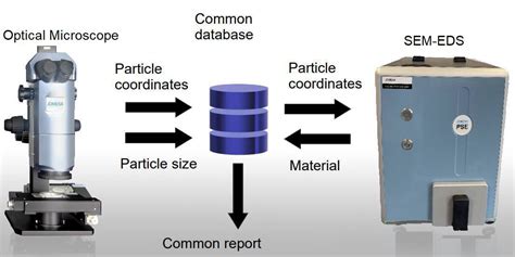 Correlative Microscopy Of Optical Microscope And Scanning Electron Microscope Sem