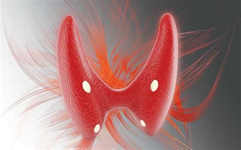 Secondary Hyperparathyroidism American Nurse Today