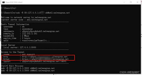 Vue前后端分离项目 临时端口内网穿透教程内网穿透时访问vue项目 Csdn博客