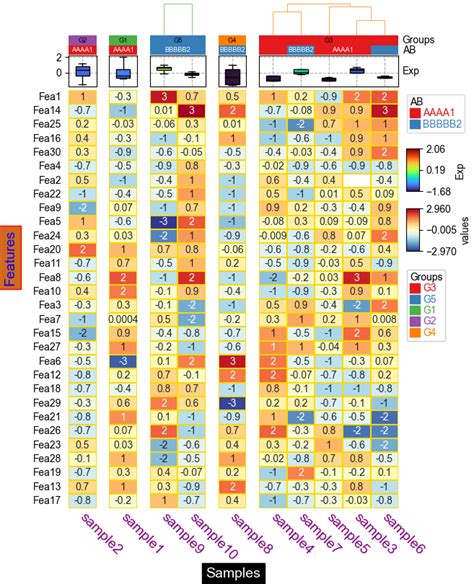 Generate Dataset — Pycomplexheatmap 177dev0gddb18dad20240909
