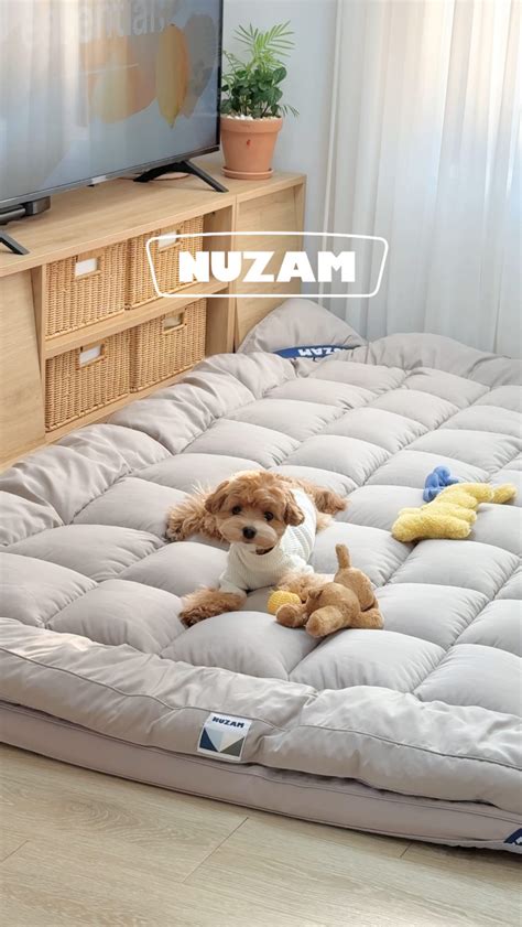 채니home 토리 미용 맡기고 들렀던 이태원의 한 카페 우드 인테리어와 곳곳에 예쁜 식물들이 있어 넘 힐링되었던 자부타임 🤍 ㅎㅎ 카페 갔을 때 인테리어 취향