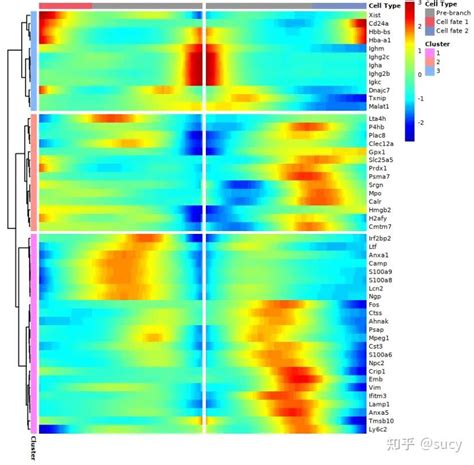 拟时序分析 知乎