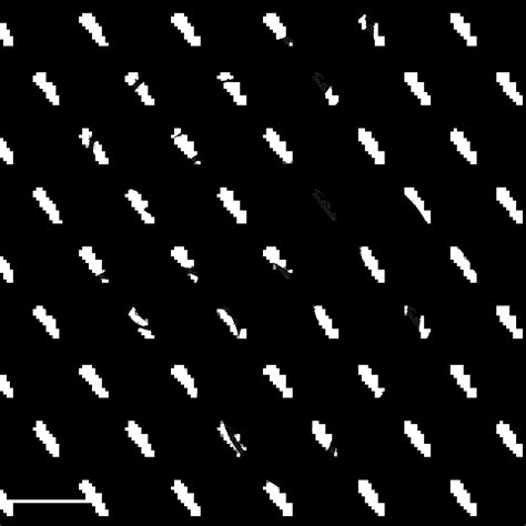 Agressive Wolf Line Art Mascot Illustration Free Illustrator Vector File