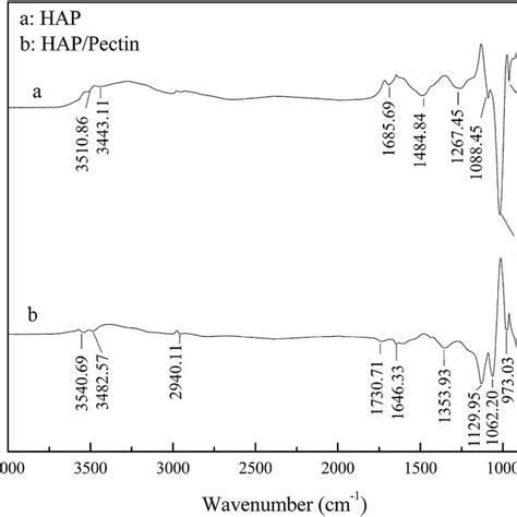 Ftir Spectrum Of Hap And Happectin Hybrid Download Scientific Diagram