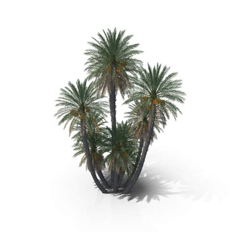 Date Zone Porn PNG Images PSDs For Download PixelSquid