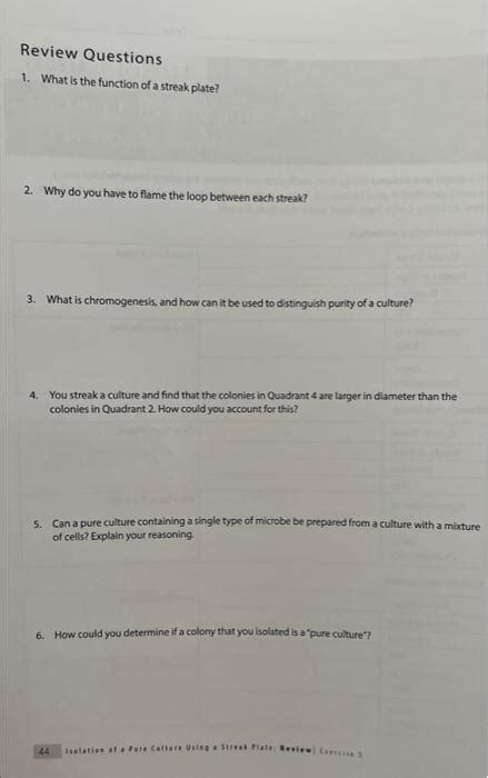 Review Questions 1 What Is The Function Of A Streak