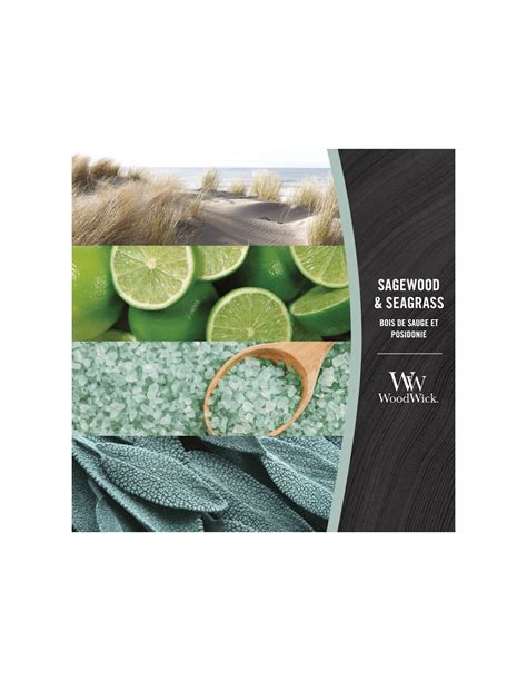 Bois de sauge et posidonie - 610 gr - WoodWick - Ma Jolie Bougie
