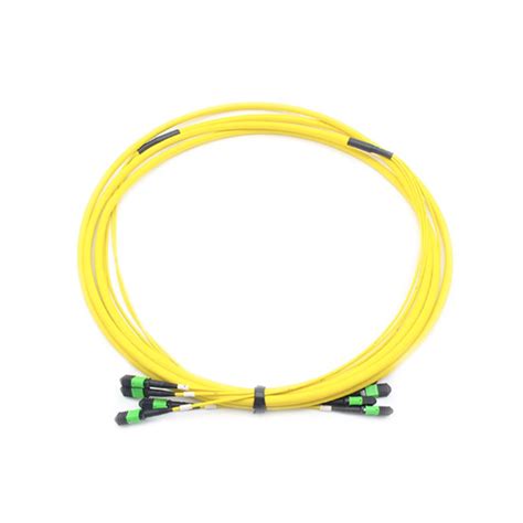 48f Mpo Mpo Trunk Cable Gisinet