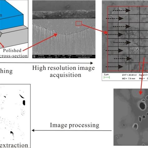 a step wise method of high resolution fe sem imaging image processing