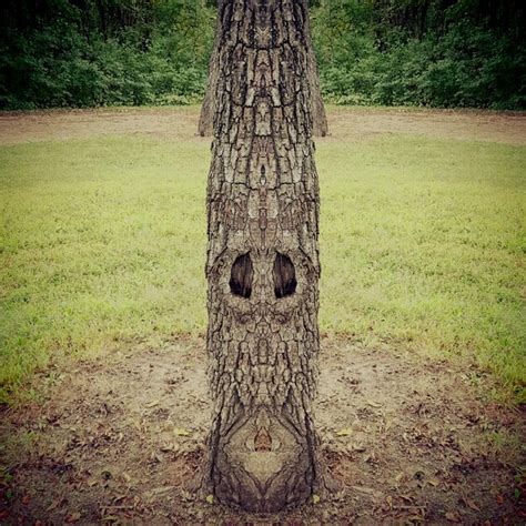 Premium Photo Trees On Grassy Field