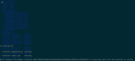 Error Response From Daemon Is Restarting Wait Until The Container Is Running · Issue 548
