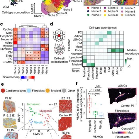 Spatial Multi Omic Map Of Human Myocardial Infarction Request Pdf