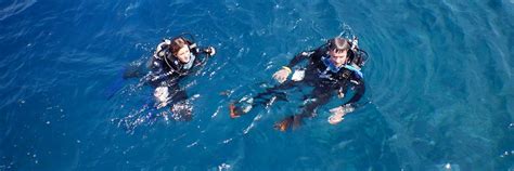 Michael Howard Michaelhoward Twitter