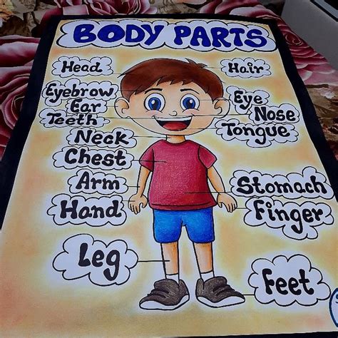 Body Parts Classroom Chart In 2025 School Art Activities Preschool