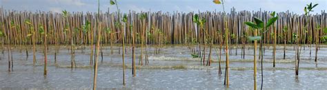 Webinar On Nature Based Solutions For Mitigating Climate Change And Reducing Hazards OPERANDUM