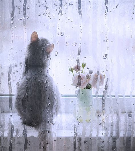 教你用 Ps给照片制作水雾玻璃效果！简单粗暴，