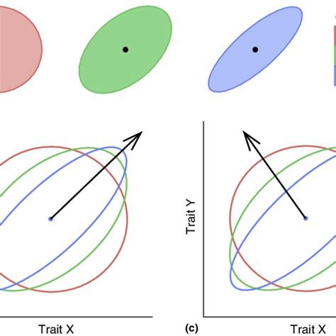 A Schematic Representation Of Correlation Between Two Traits For