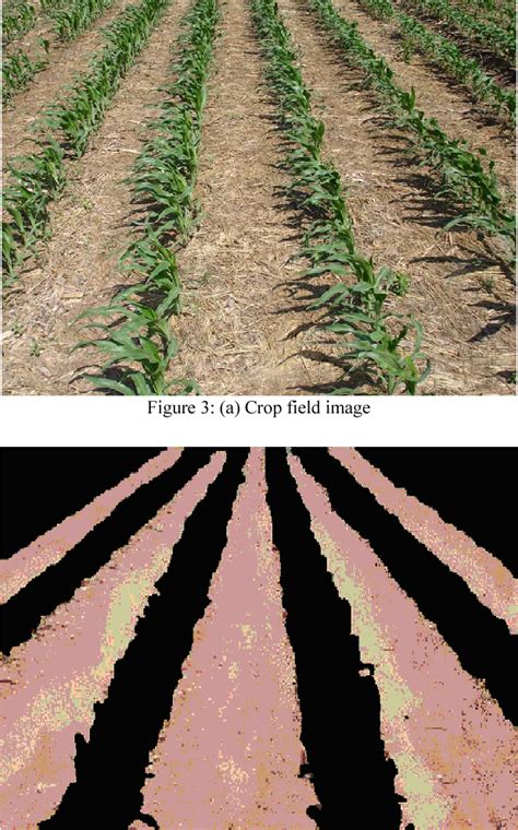 Figure 3 From A Vision System For Autonomous Weed Detection Robot Semantic Scholar