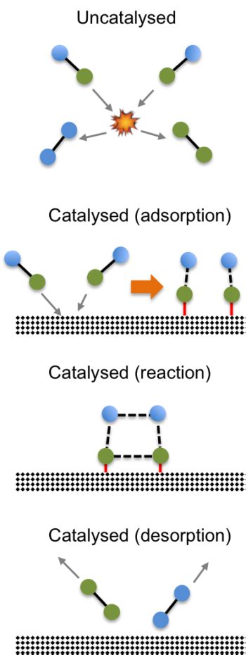 Effect Of A Catalyst On The Rate Of A Reaction Mono Mole