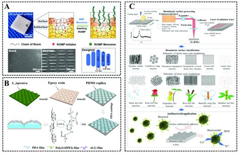 A Schematic Diagram Of The Preparation Of Poly Ionic Liquid Download Scientific Diagram