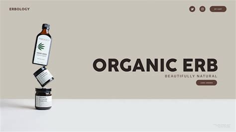 Develop A Custom React Webapp For Your Business By Terynapp Fiverr