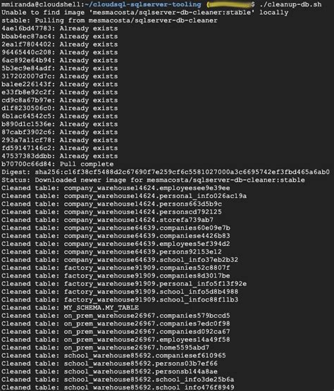 Automating The Cloud Sql Triad With Terraform Python Docker And Gcloud Cli By Marcelo Costa