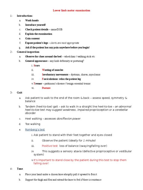 Lower Limb Motor Exam Pdf Anatomical Terms Of Motion Human Anatomy