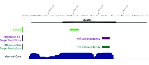 B Txnip Cluster Genomic Schematic Of Txnip 3utr The Following Download Scientific Diagram