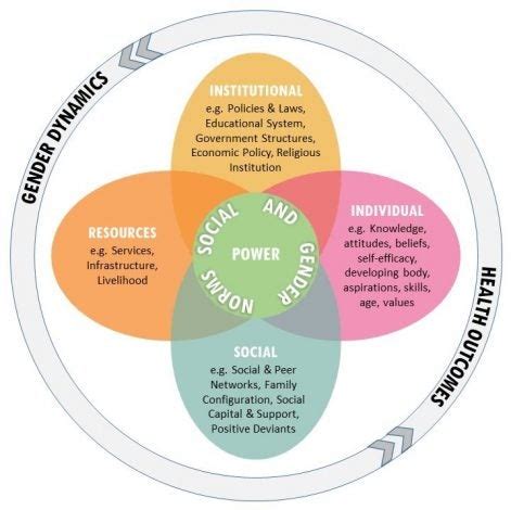 Flower Framework Square ENG Institute For Reproductive Health