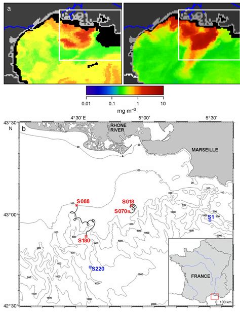 A Chlorophyll A Surface Concentration Based On Modis Satellite Images