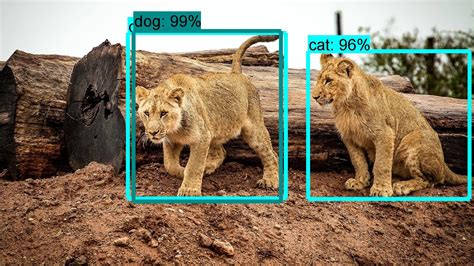 TensorFlow Object Detection API 自動辨識物件教學 第 頁 G T Wang