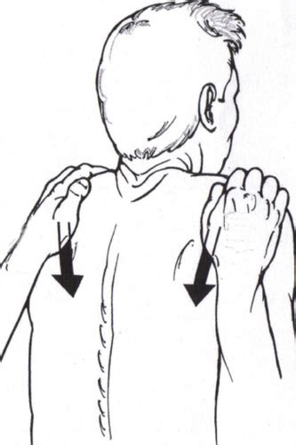 MMT Shoulder Girdle Flashcards Quizlet